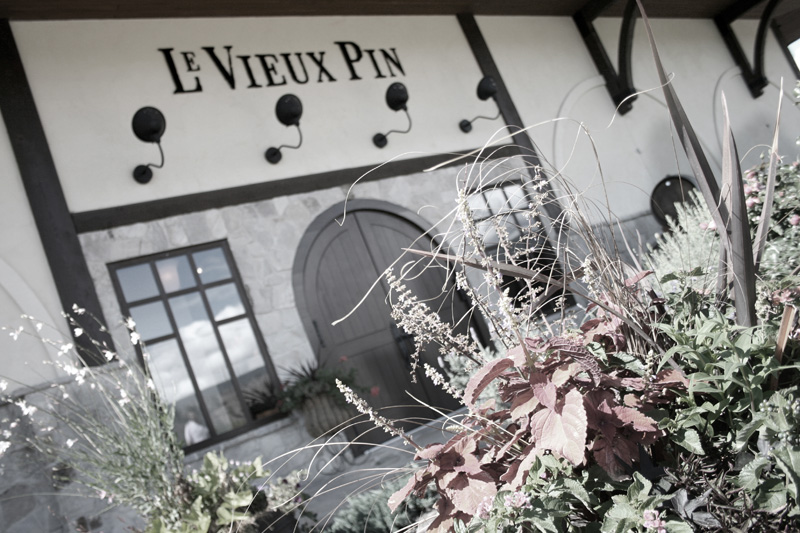 Winery - Le Vieux Pin